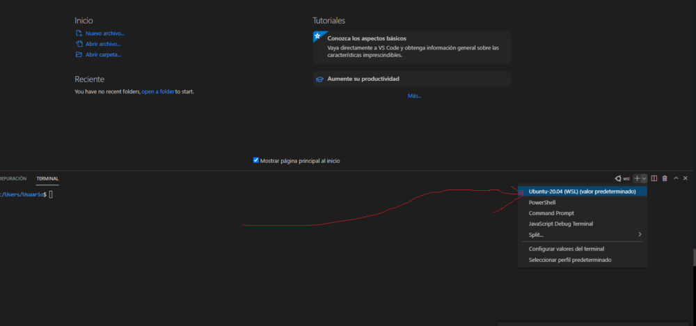 CONFIGURANDO MI ENTORNO DEV EN WSL - La trinchera divergente