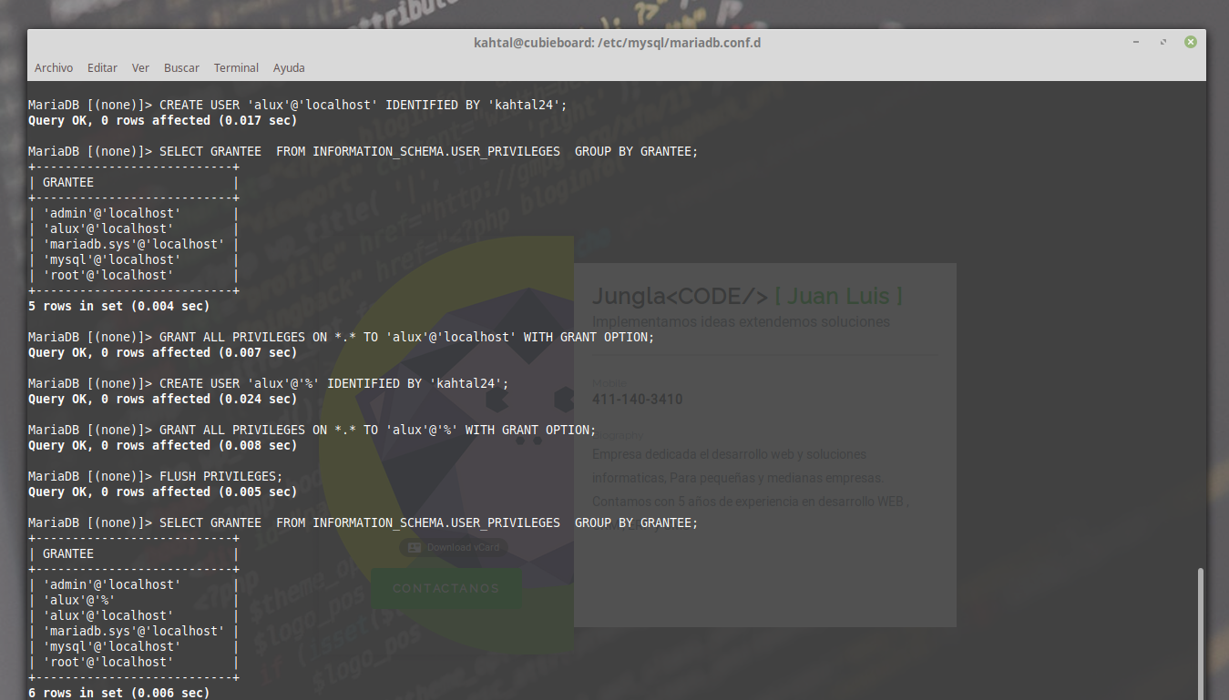 Configurar acceso remoto en MariaDB - La trinchera divergente